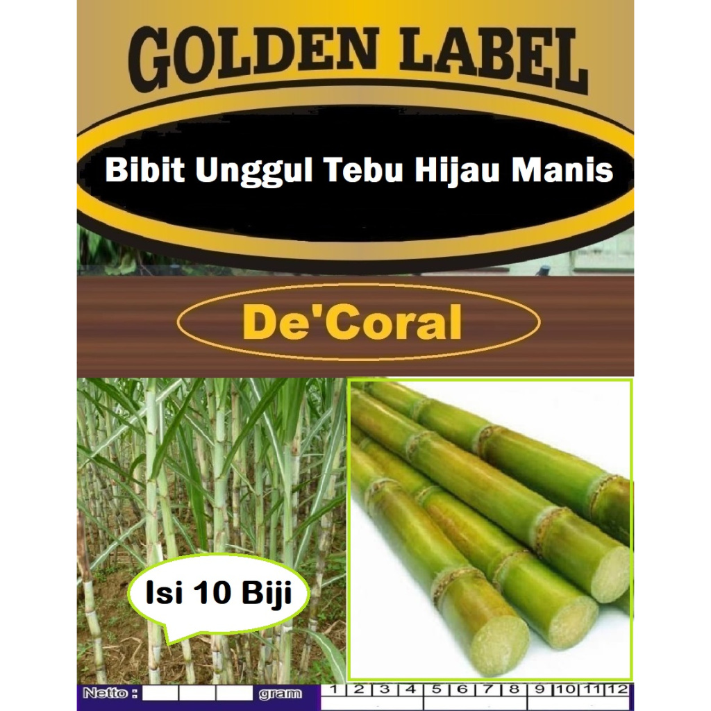 Jual Bibit Unggul Tebu Hijau Manis |Biji Bibit Pohon Tebu Hijau Manis ...