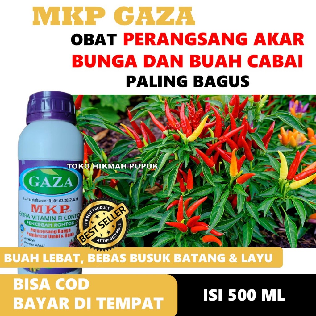 Jual OBAT PELEBAT CABAI isi 500 ML MKP GAZA PUPUK PEMBESAR TANAMAN CABAI PALING BAGUS, Obat ...