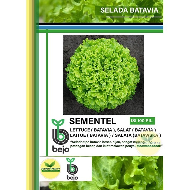 Jual Benih selada BATAVIA BEJO SEMENTEL Kemasan 1 pil | Shopee Indonesia