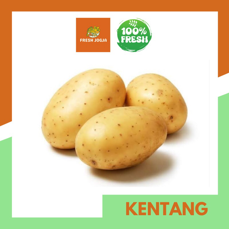 Jual Kentang Besar per 500gr | Fresh Jogja | Shopee Indonesia