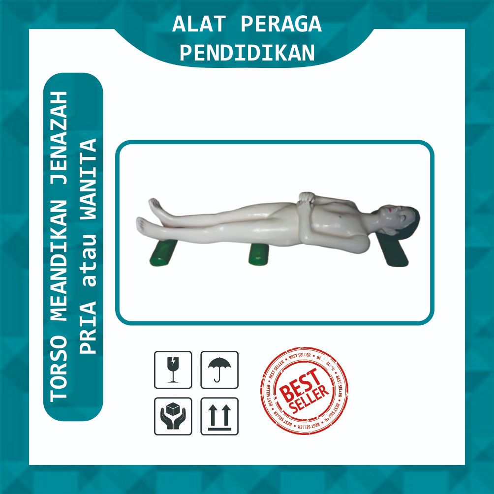 Jual Alat Peraga Torso Memandikan Jenazah (Laki atau Wanita) | Shopee ...
