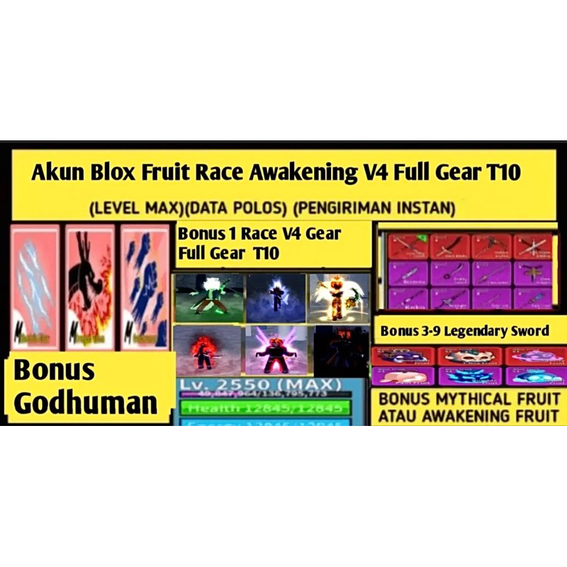 Jual AKUN BLOX FRUIT RACE AWAKENING V4 FULL GEAR T10 (LEVELMAX) (DATPOL ...