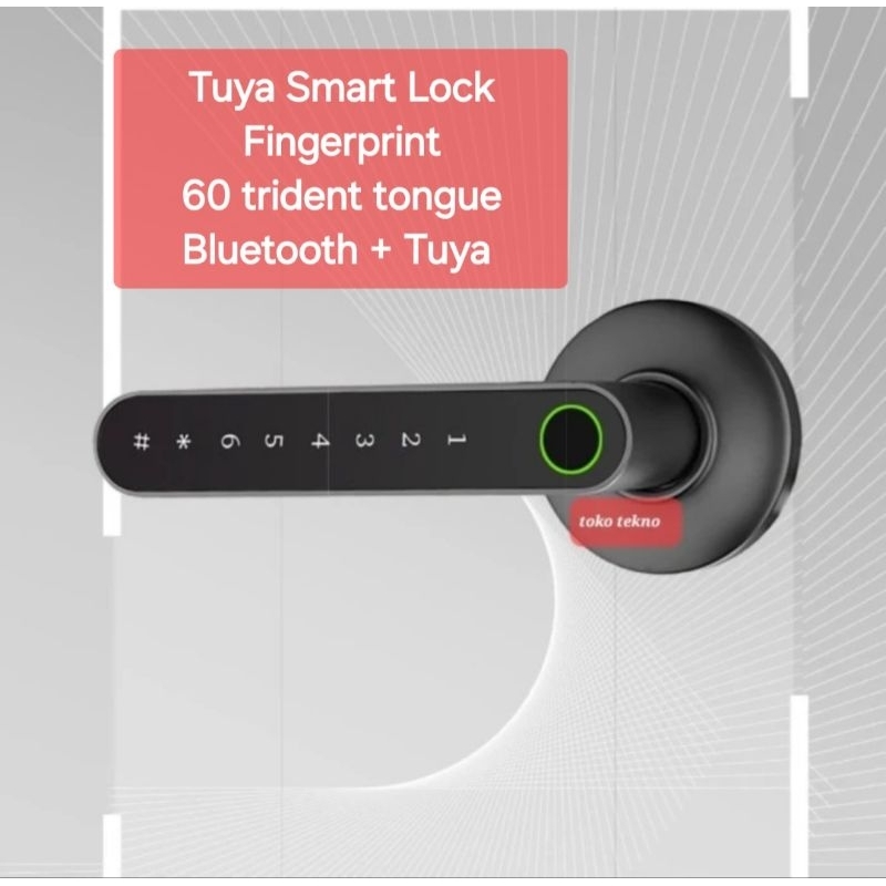Jual Smart Lock Fingerprint Tuya Bluetooth / Kunci Pintu Digital Tuya ...