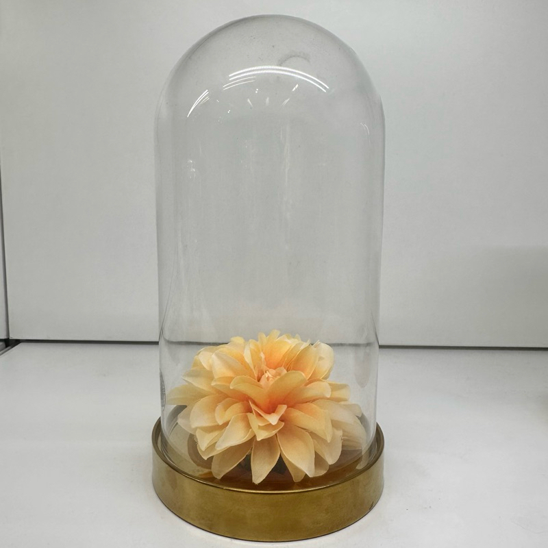 Jual Kubah display kaca / Glass dome with base, 19 cm Begavning ...