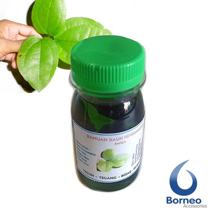 Jual Minyak Herbal Daun Bungkus Papua | Shopee Indonesia