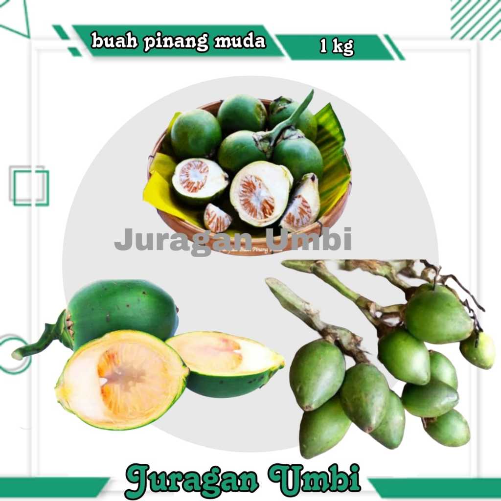 Jual Buah pinang Muda / Jambe Tua 1 kg | Shopee Indonesia