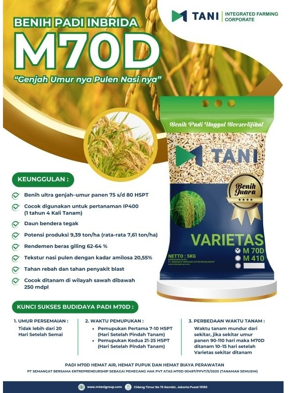 Jual M70D Bibit padi | Shopee Indonesia