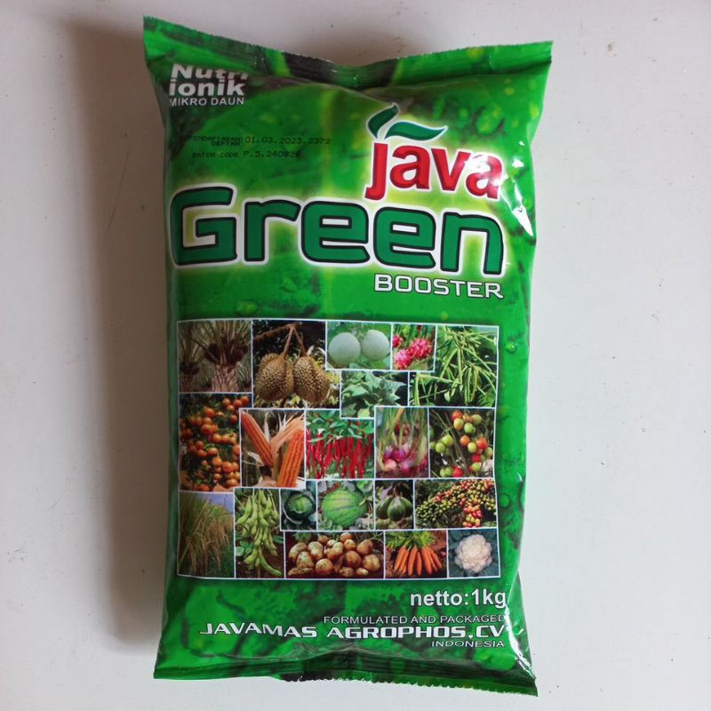 Jual JAVA GREEN 1 KG | Shopee Indonesia