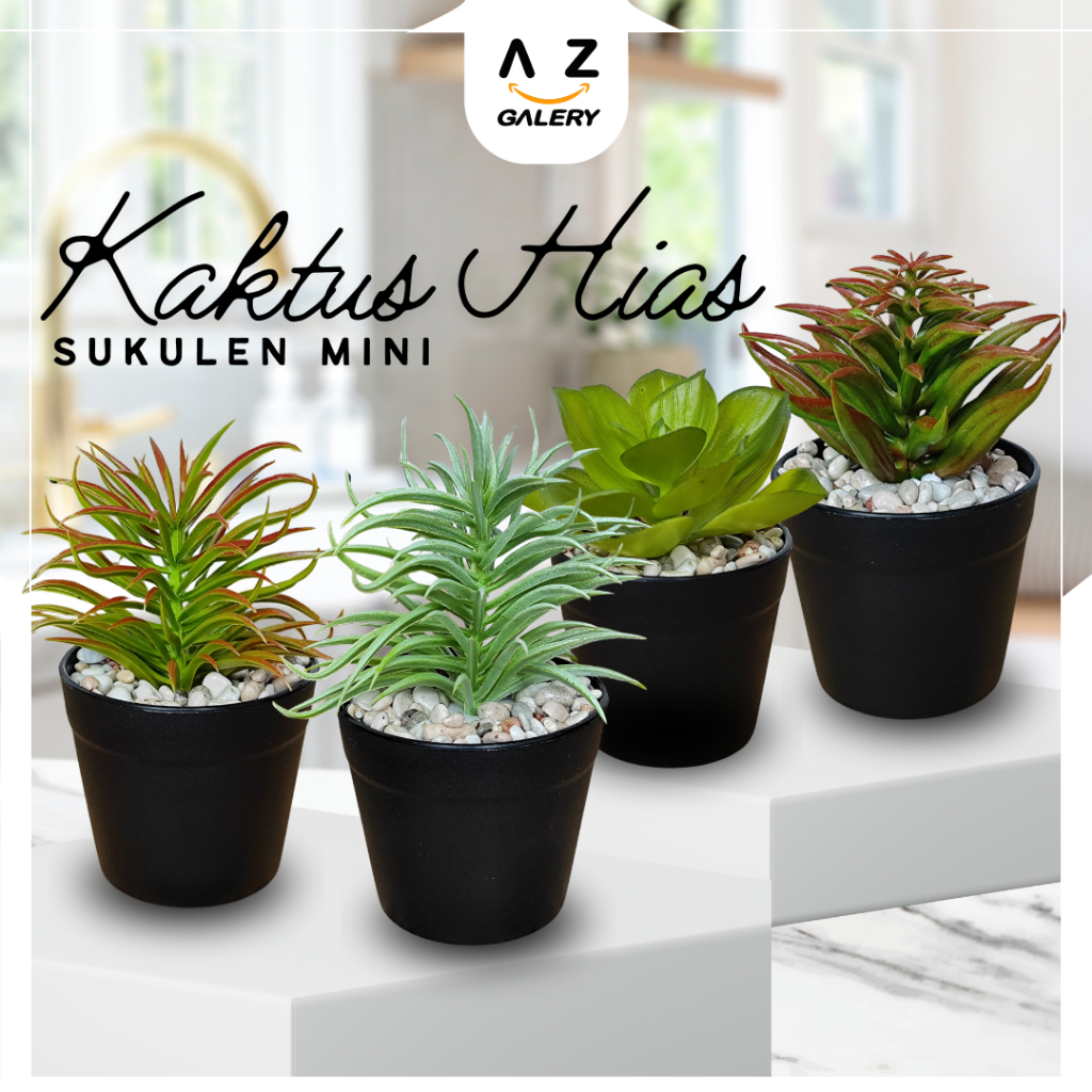 Jual Kaktus Mini Bunga Sukulen Hias Pajangan Meja Hiasan Dekorasi Rumah ...