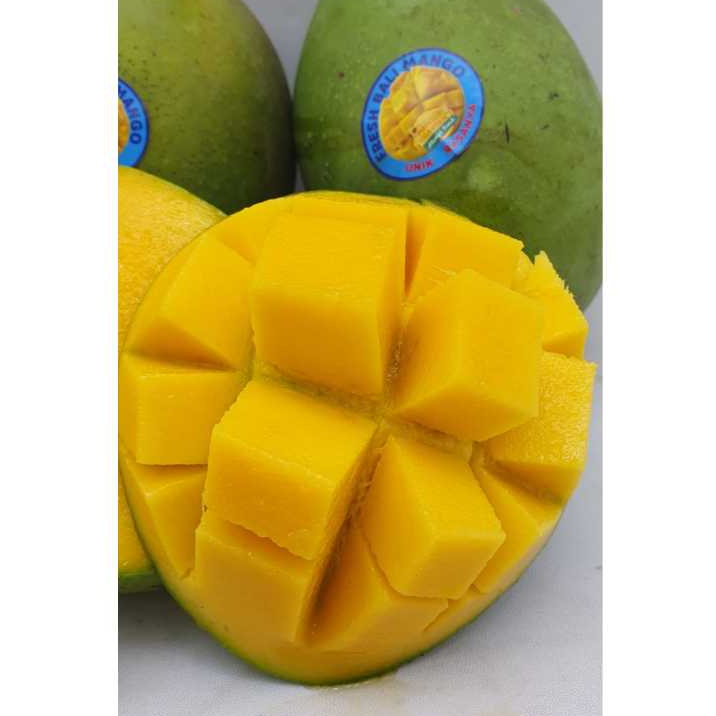 Jual Nandori Garden Mangga Brazil Super 1KG | Shopee Indonesia