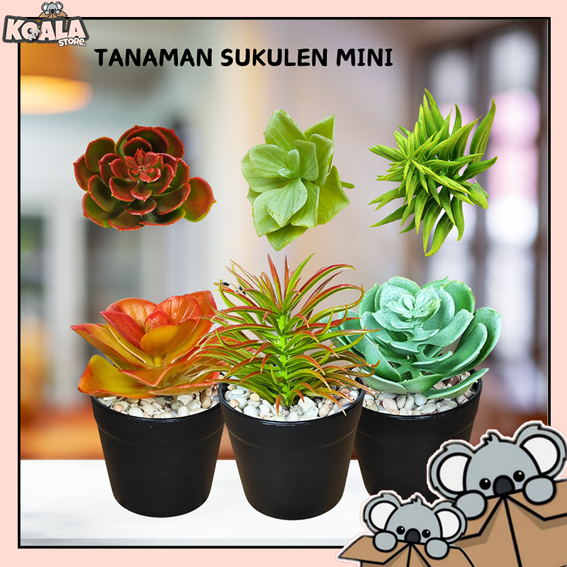 Jual Bunga Sukulen Artificial Mini Pot Hitam Tanaman Hias Plastik ...