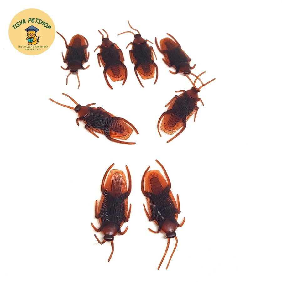 Jual Kecoa Palsu Kecoa Plastik Mainan Usil Jahil Mirip Asli Toys Cat ...