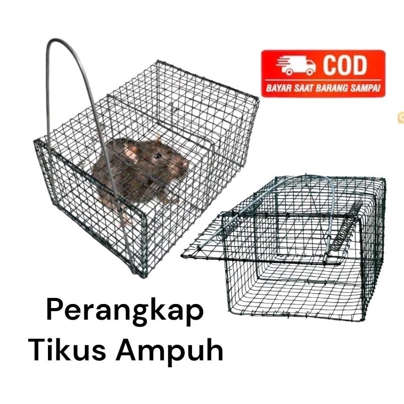 Jual jebakan tikus murah | Shopee Indonesia