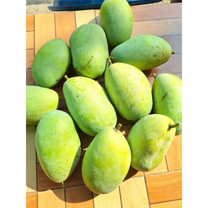 Jual MANGGA GAJAH / budi raja 1 KG( ISI 2) | Shopee Indonesia