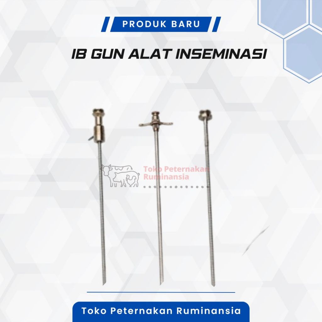 Jual Ib Gun Sapi Gun Ib Alat Suntik Inseminasi Buatan Kambing Domba ...