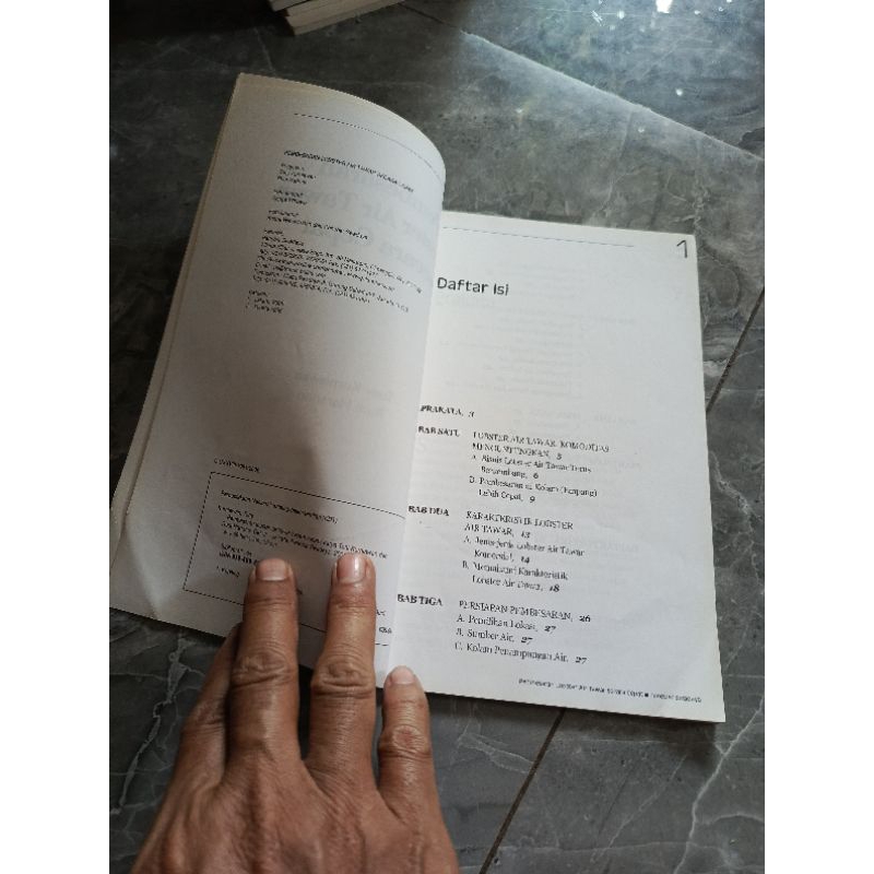 Jual PEMBESARAN LOBSTER AIR TAWAR SECARA CEPAT-TONY KURNIAWAN DKK-K1 ...