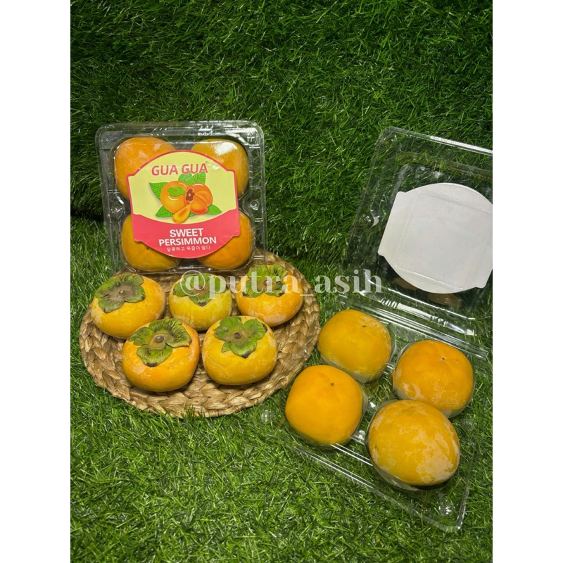 Jual Chinese Persimmon 1 Pack | Shopee Indonesia