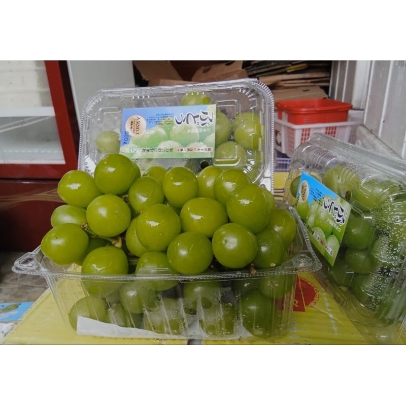 Jual Anggur muscat pack 500gram | Shopee Indonesia