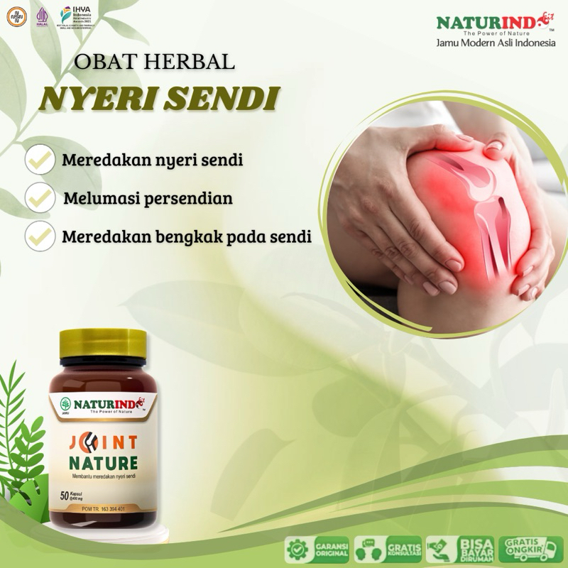 Jual Naturindo- Joint Nature (Herbal Alami untuk Nyeri Bengkak Sendi ...