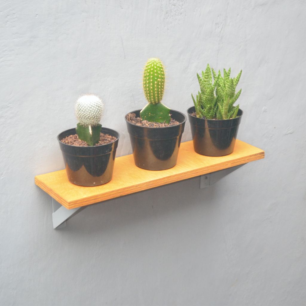 Jual Rak Dinding Tempel Aesthetic ambalan tembok tempat bunga kaktus ...