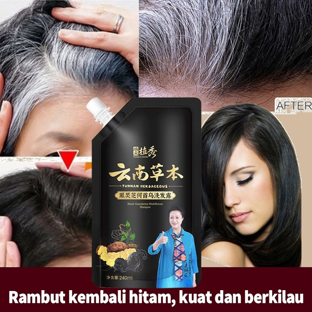 Jual Sampo Semir Pewarna Rambut Permanen / YUNNAN Shampoo Penghilang ...