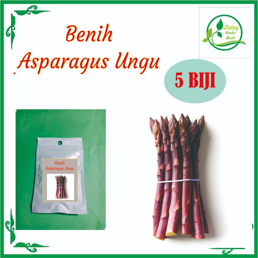 Jual BENIH ASPARAGUS UNGU ISI 5 BIJI | Shopee Indonesia