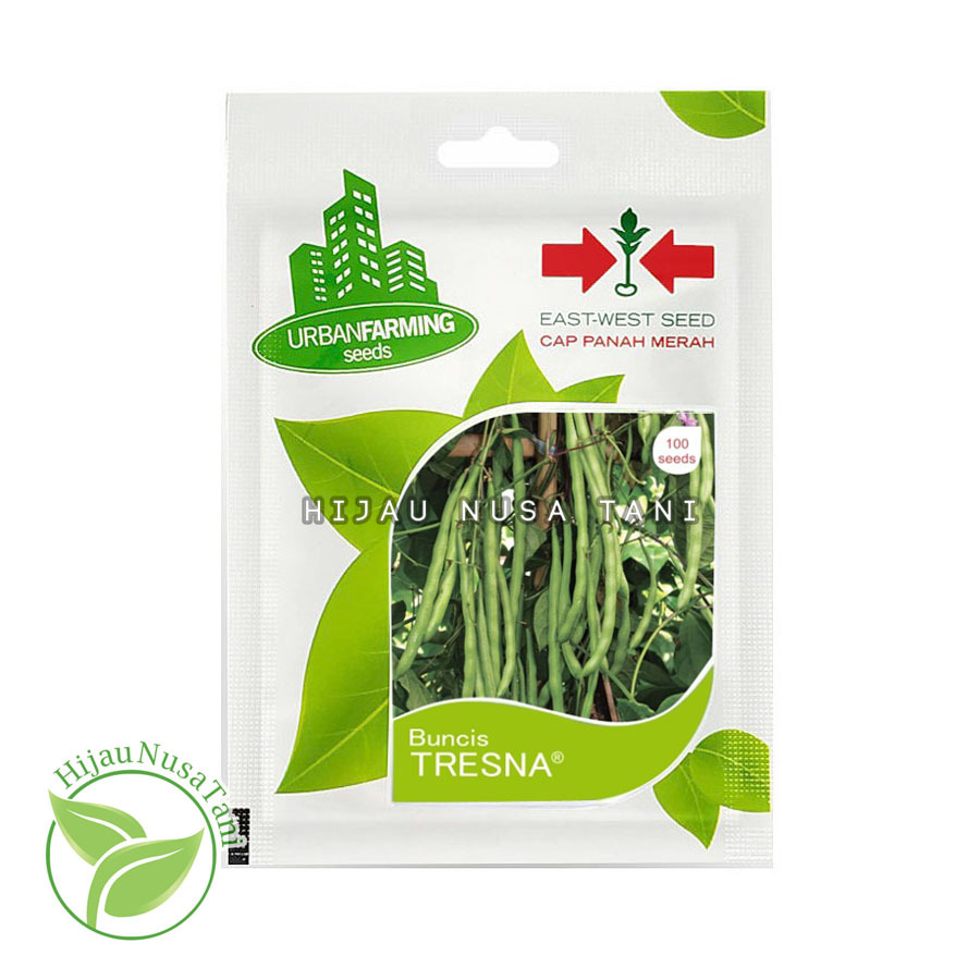 Jual Benih Buncis TRESNA Small Pack (100s) Panah Merah East West Seed ...