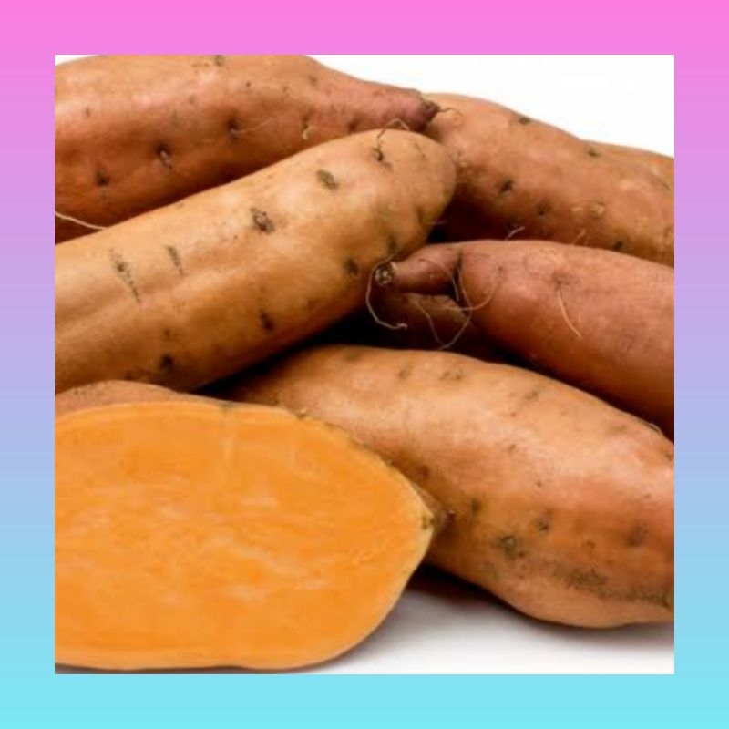 Jual Ubi Merah 1 kg | Ubi jalar merah segar | Ubi jalar kiloan | Ubi ...