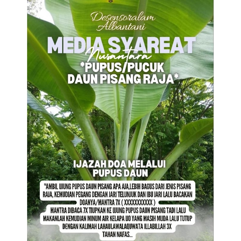 Jual Doa Daun Pupus Pisang Raja | Shopee Indonesia