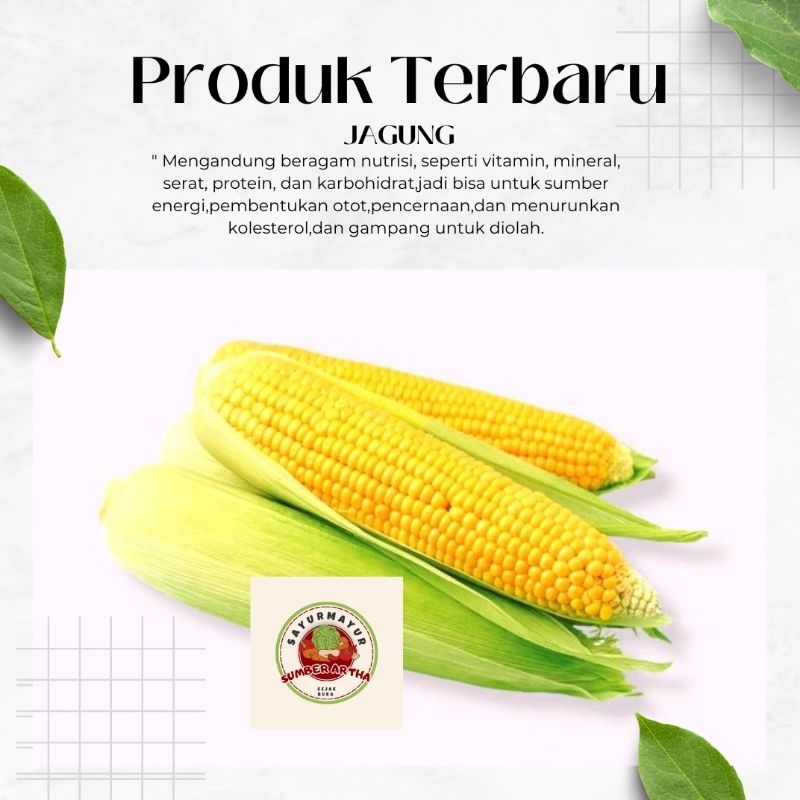 Jual Sayur Fresh Jagung Manis besar fast delivery | Shopee Indonesia