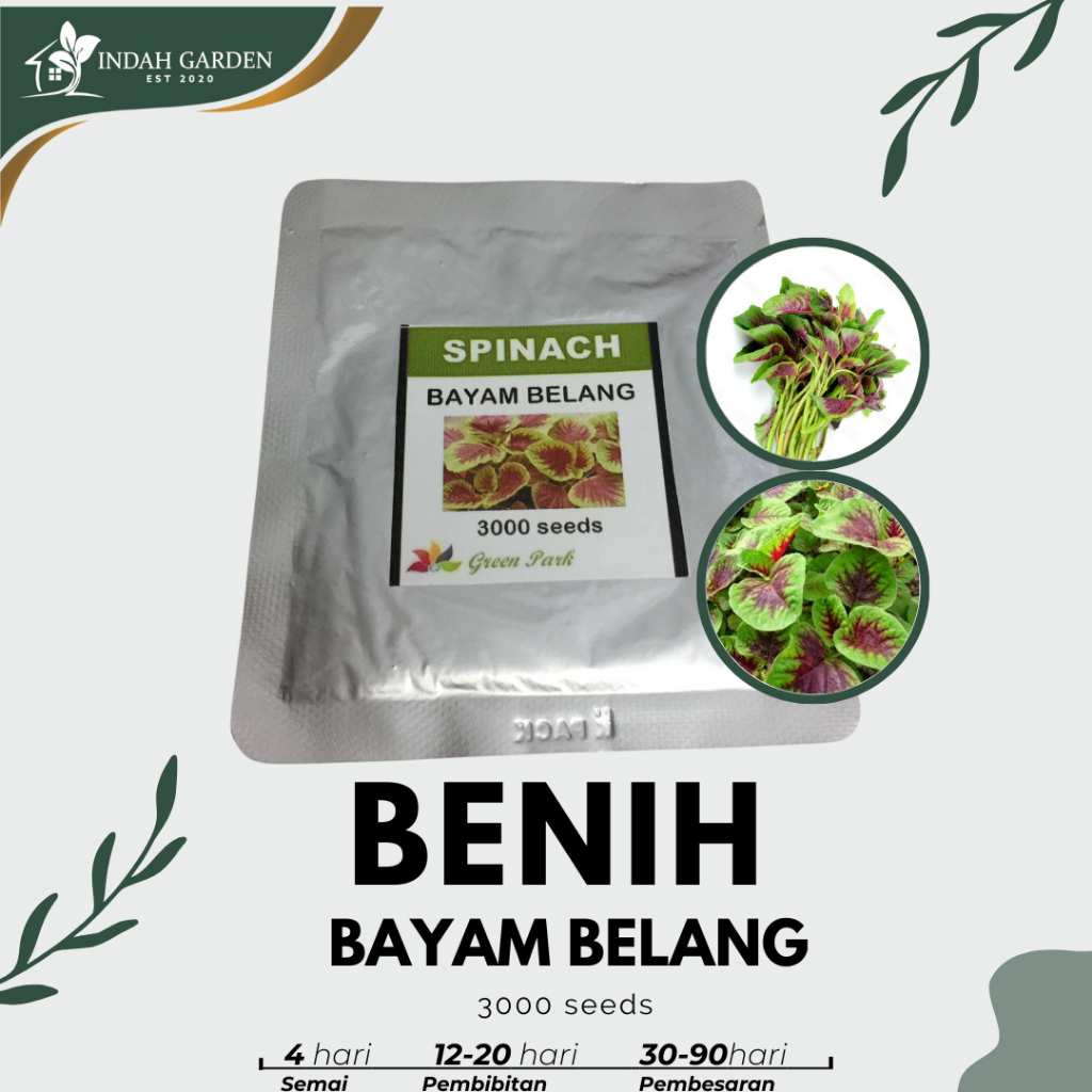 Jual Bayam belang / bayam batik - GP ISI 3000 BIJI | Shopee Indonesia
