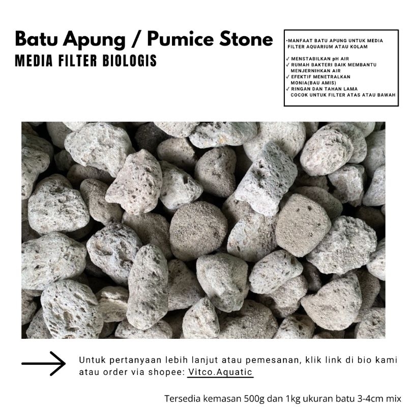 Jual Batu Apung Pumice Stone Media Filter Aquarium Kolam Koi 1kg ...