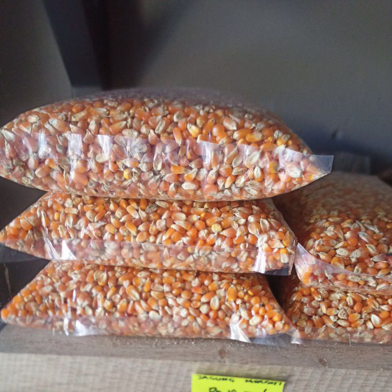 Jual jagung pakan burung merpati | Shopee Indonesia
