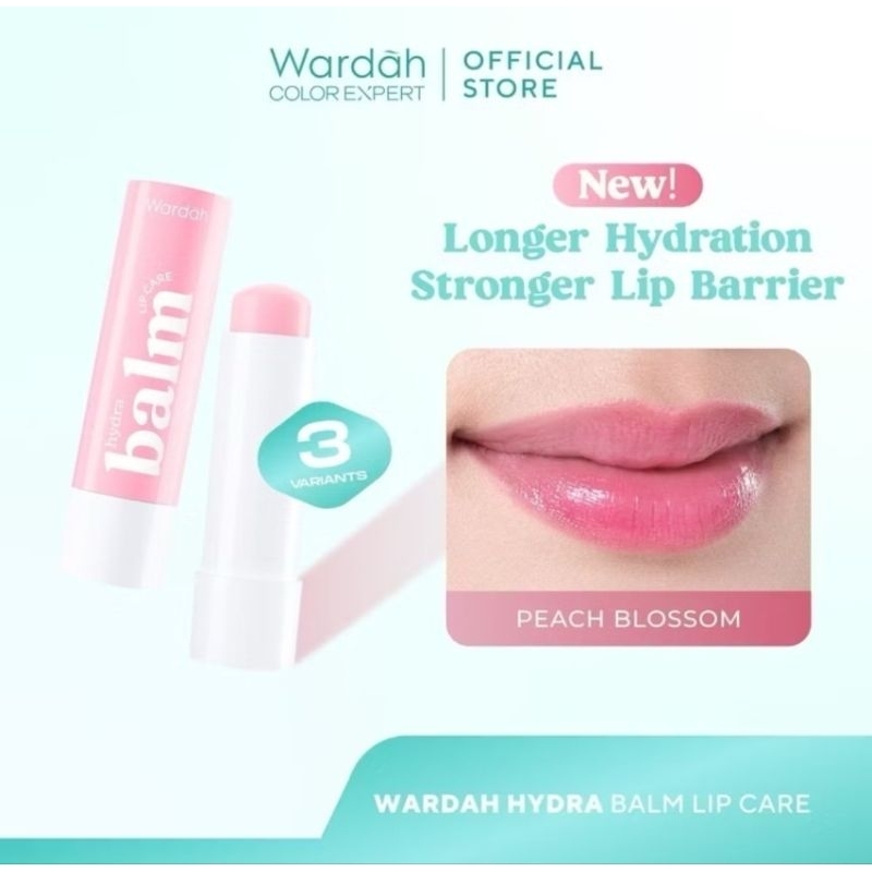Jual WARDAH Hydrabalm Lip Care | Pelembab Bibir 4g | Moisturizing ...