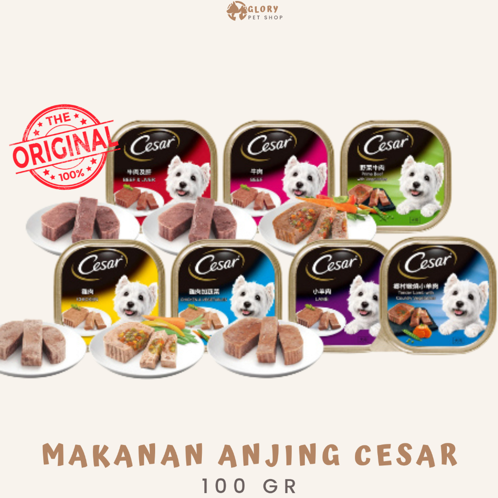 Jual Cesar Makanan Anjing Premium Basah 100 gr | Shopee Indonesia