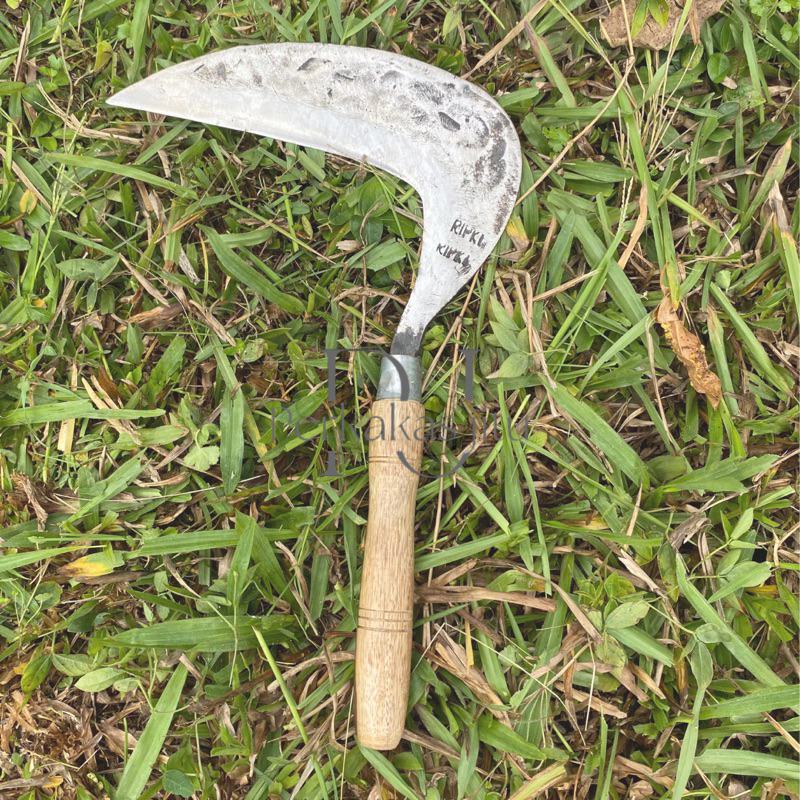 Jual alat pertanian dan peternakan pisau rumput | Shopee Indonesia