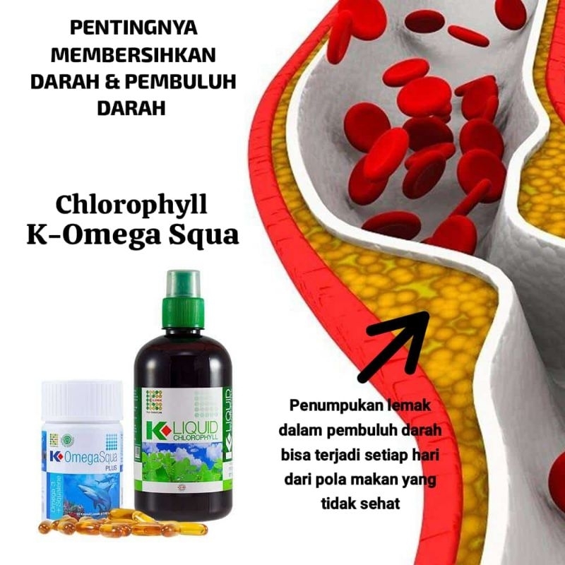 Jual paket obat kolesterol(K-liquid Chlorophyll+K-Omega squad) | Shopee ...
