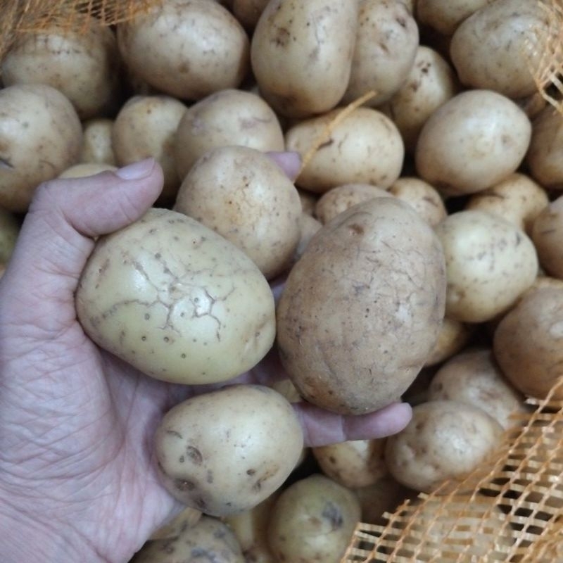 Jual Kentang Brastagi Kecil 250gr | Shopee Indonesia