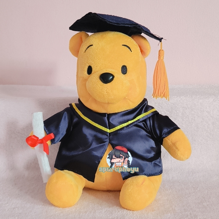 Jual Boneka Disney Winnie The Pooh Graduation Costume Plush | Shopee ...