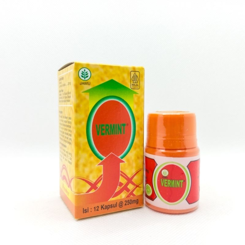 Jual Vermint | Vermin | Obat Penyakit Tifus / Tipes / Typus 12 Kapsul ...