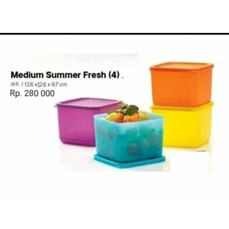 Jual BARU Medium summer tupperware | Shopee Indonesia