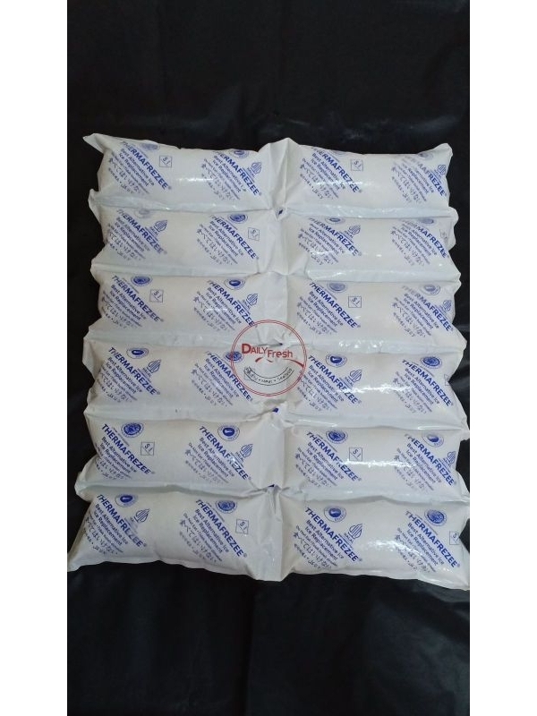 Jual THERMAFREEZE ICE GEL | PACK PENDINGIN TAMBAHAN FROZEN FOOD ...
