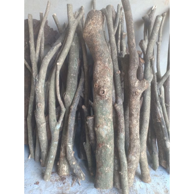 Jual Kayu ranting panjang 60 cm kayu bakar camping api unggun 1kg ...