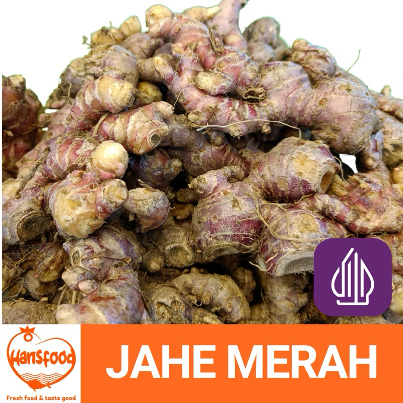 Jual JAHE MERAH 250 GR | Shopee Indonesia