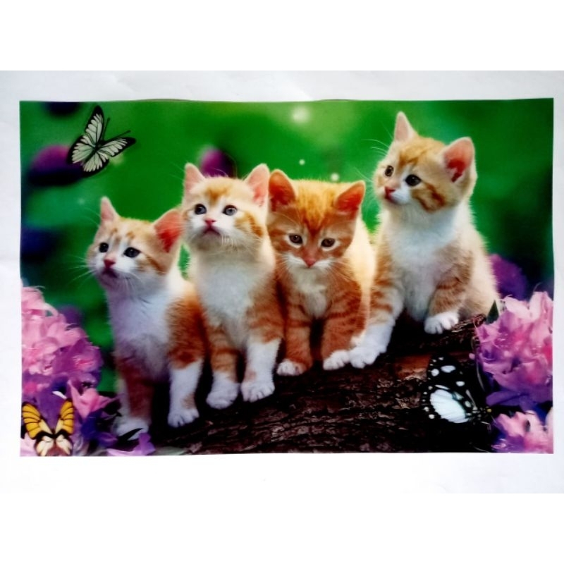 Jual POSTER KUCING 3 DIMENSI (gambar terlihat hidup & nyata) ukuran ...