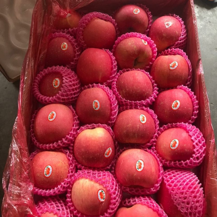 Jual Buah Apel / Apple FUJI 125 Fresh Import 1 Dus / Box / Keranjang ...