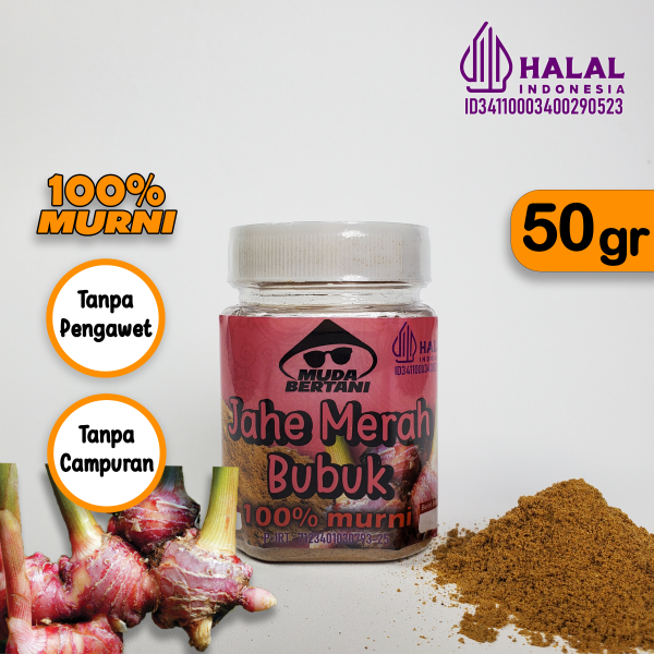 Jual JAHE MERAH BUBUK/Jahe Merah Zingiber Officinale Var Rubrum Rhizoma ...