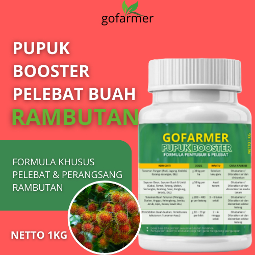 Jual Booster Buah Rambutan,Pupuk Pelebat Rambutan Perangsang Buah padat terbaik Agar Cepat ...
