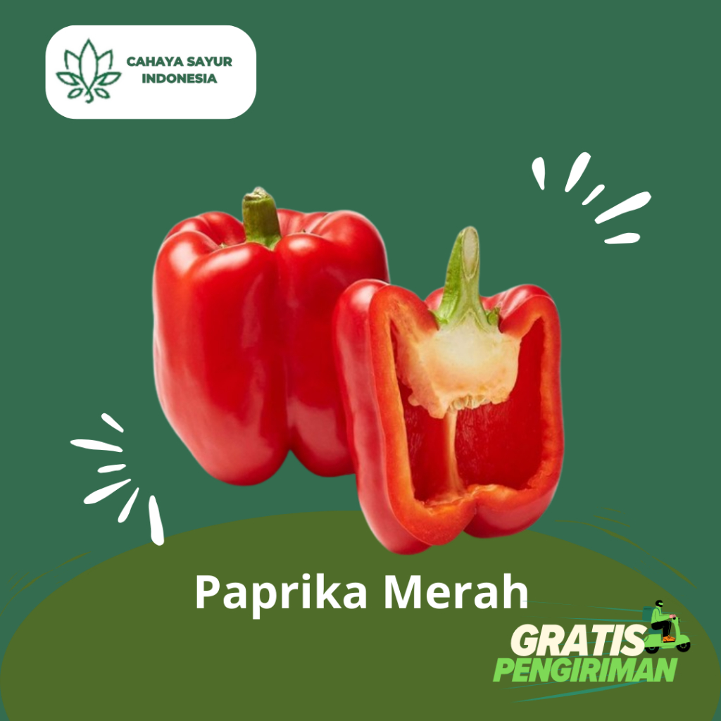 Jual Paprika Merah 1kg / Sayur Paprika Segar | Shopee Indonesia
