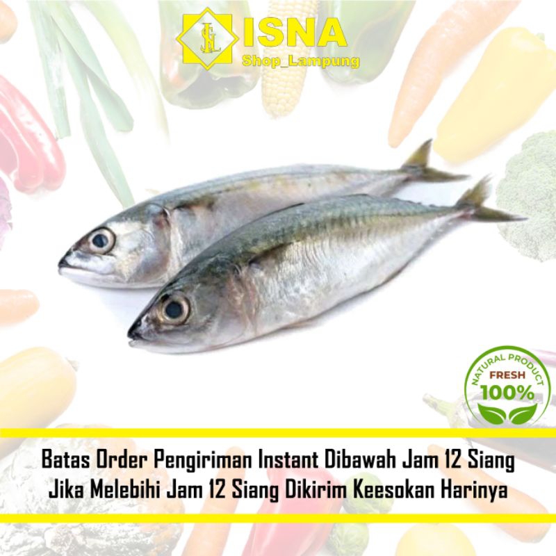 Jual Ikan Kembung Fresh 1 kg - Sayur Fresh | Shopee Indonesia